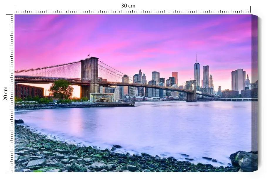 Obraz Pohled Na New York Za Soumraku Nedostatek Nedostatek Plátno Canvas 40x30