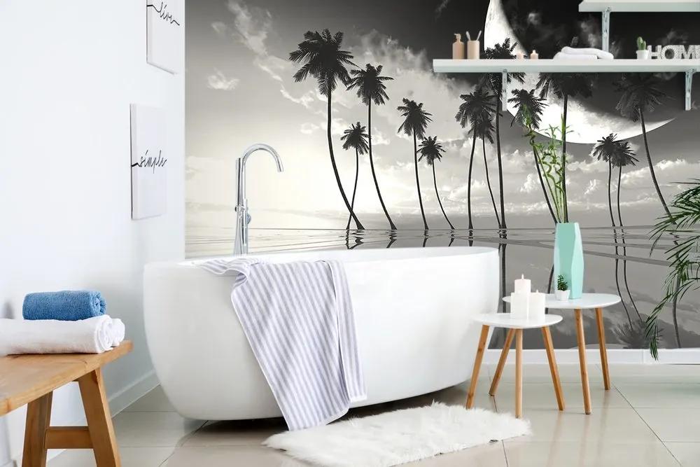 Samolepící tapeta černobílé tropické palmy - 150x100 cm