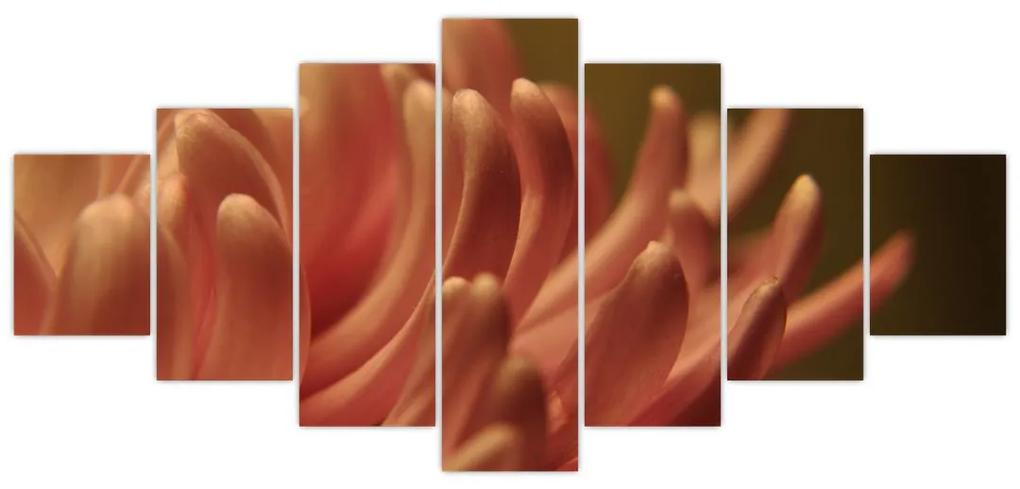 Obraz detailu květiny (210x100 cm)
