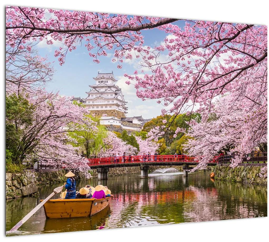 Obraz japonské třešně (70x50 cm)
