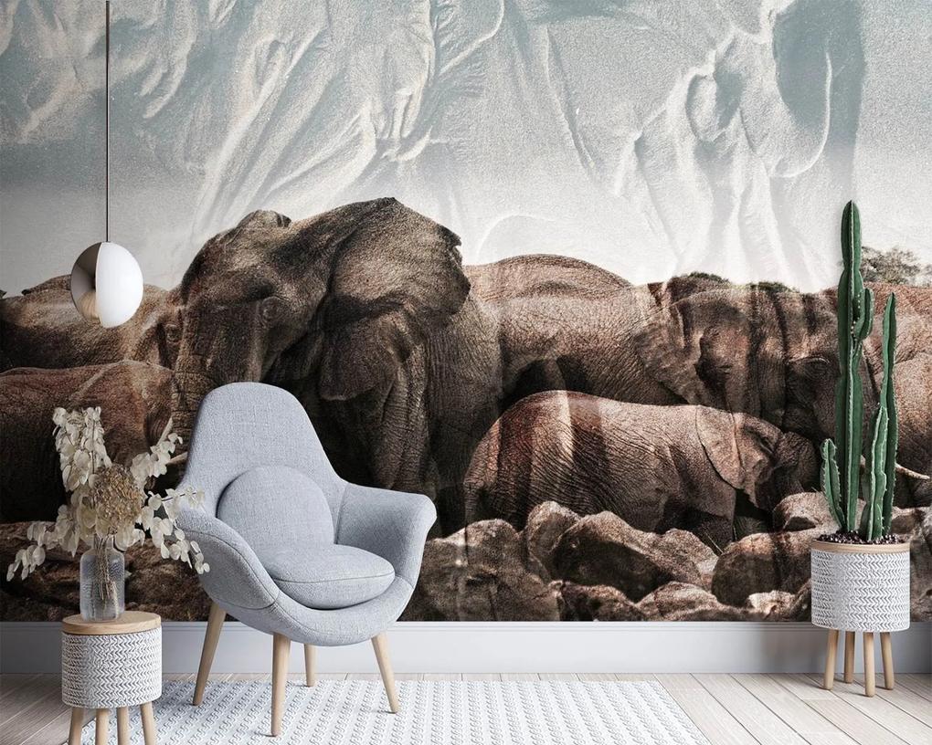 Gario Fototapeta Sloni ve stádu Materiál: Vliesová, Rozměry: 200 x 140 cm