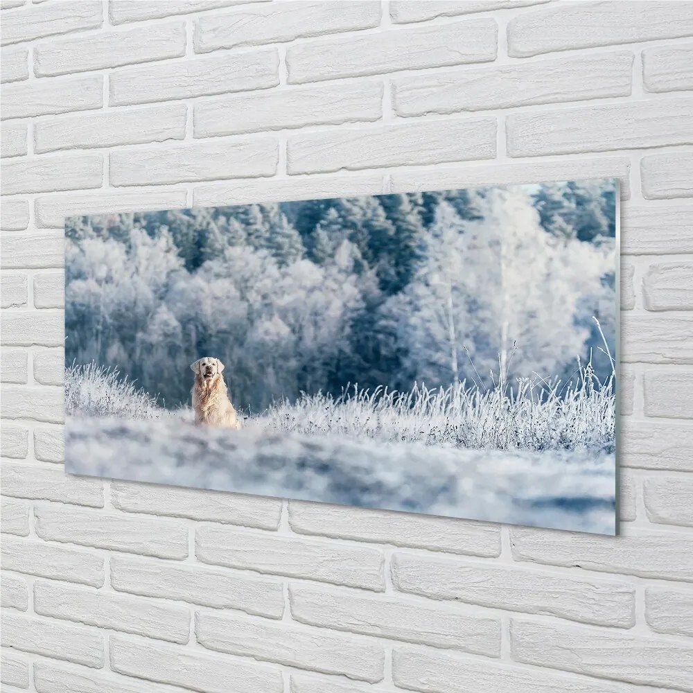 Obraz na skle Zimě salašnický pes 125x50 cm
