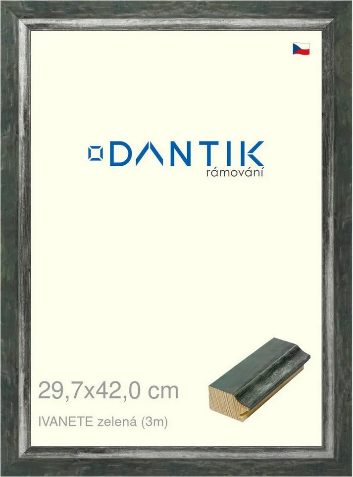 DANTIK rámeček 29,7x42 | IVANETE zelená (Plexi Čiré)