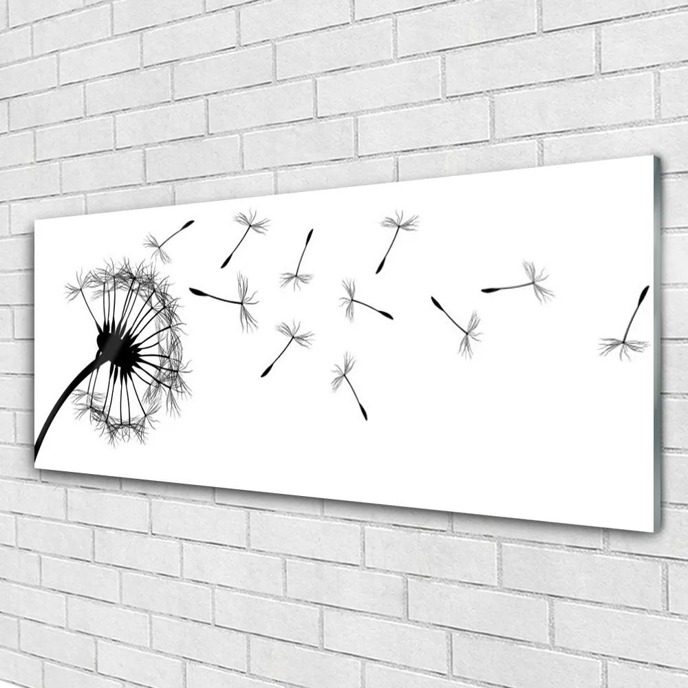 Plexisklo-obraz Pampeliška Květ 125x50 cm