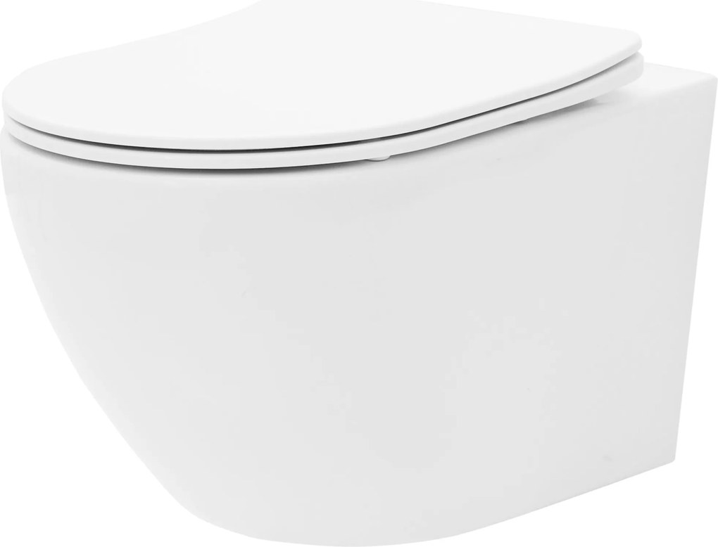 Rea CARLO mini - rimless závěsná WC mísa 49x37 s pomalu-padajícím sedátkem, bílá, REA-C2760