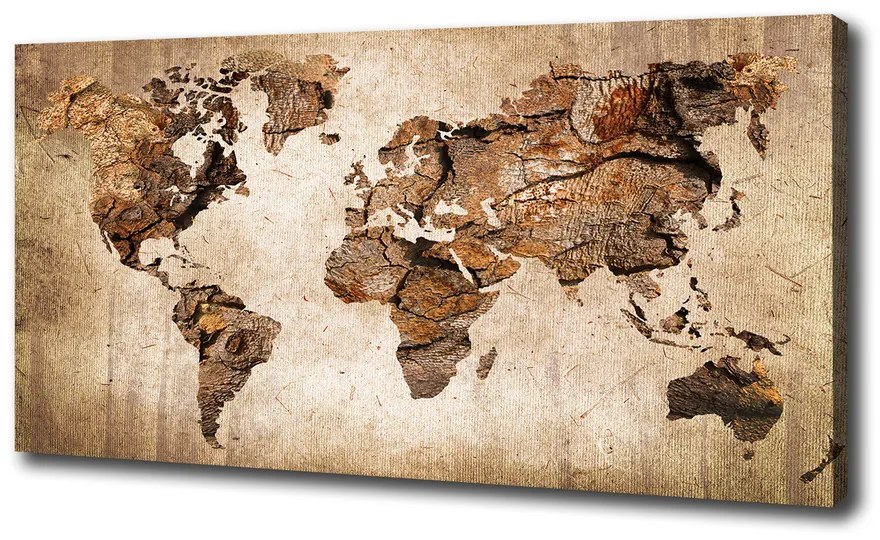 Wallmuralia Foto obraz canvas Mapa světa dřevo 100x50 cm