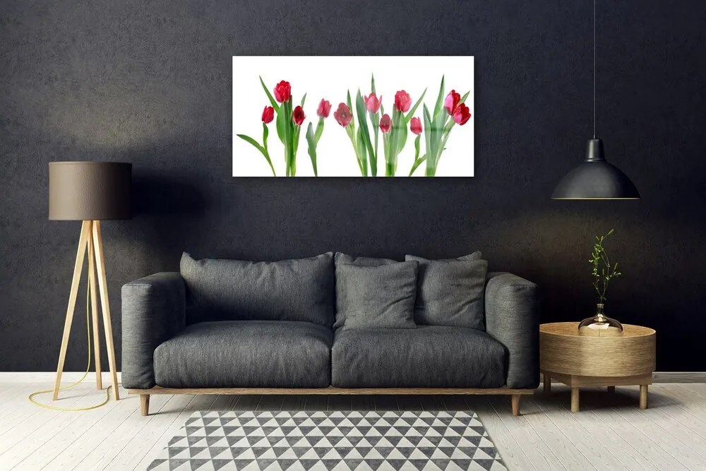 Obraz na skle Tulipány Květiny Rostlina 125x50 cm