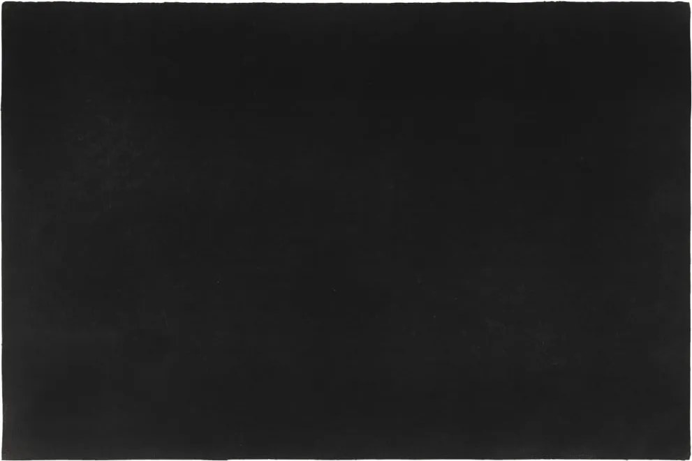 Rohožka před dveře přírodní 60 x 90 cm kokosové vlákno 155602