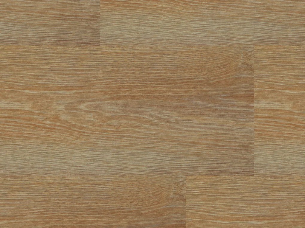 Forbo Allura Flex Pure Oak 60295 - lepená vinyloví podlaha