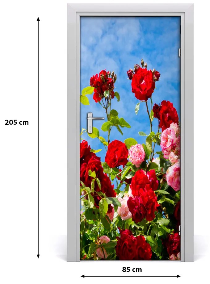 Samolepící fototapeta na dveře Divoká růže 85x205 cm