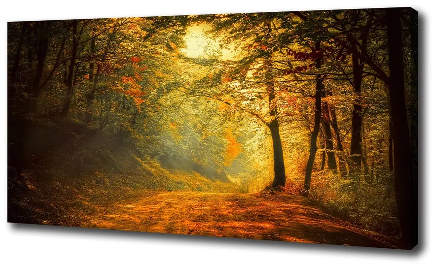 Wallmuralia Foto obraz na plátně Podzimní les 100x50 cm