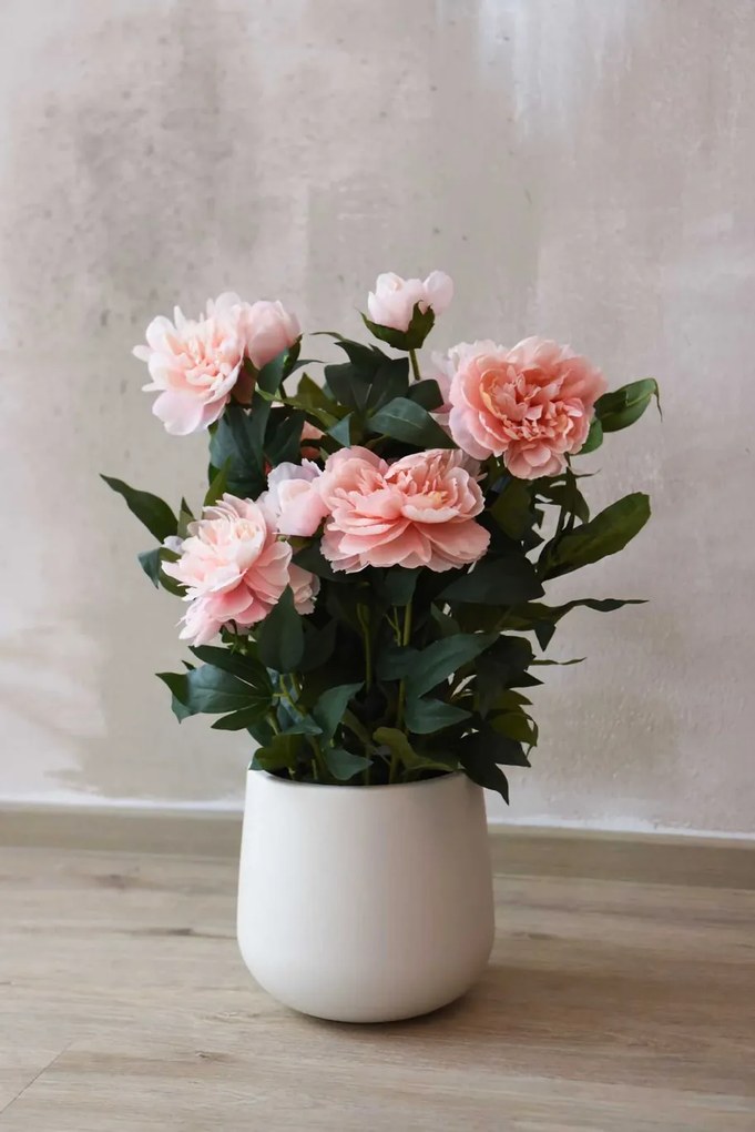 Umělá pivoňka v krémovém květináči PEONY, výška 70 cm, růžová