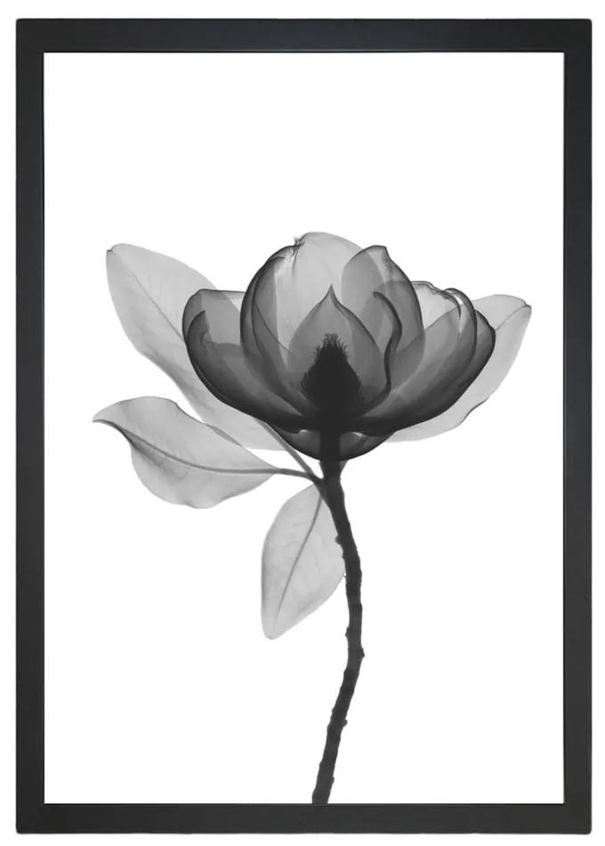Plakát 24x29 cm Harmony Flower – Tablo Center