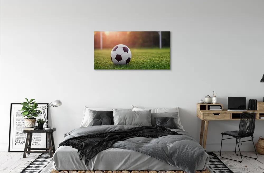 Obrazy na plátně Fotbal tráva gateway 120x60 cm