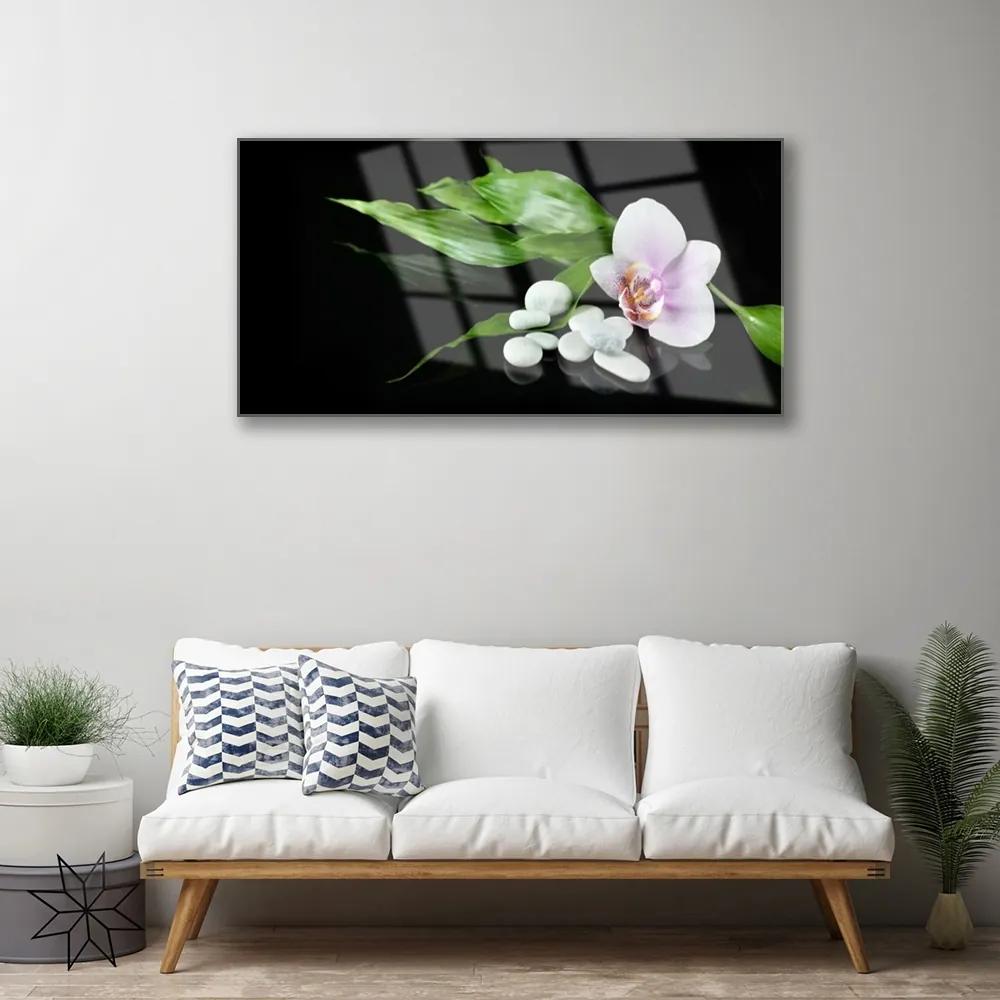 Obraz na skle Květ Kameny Listí 140x70 cm