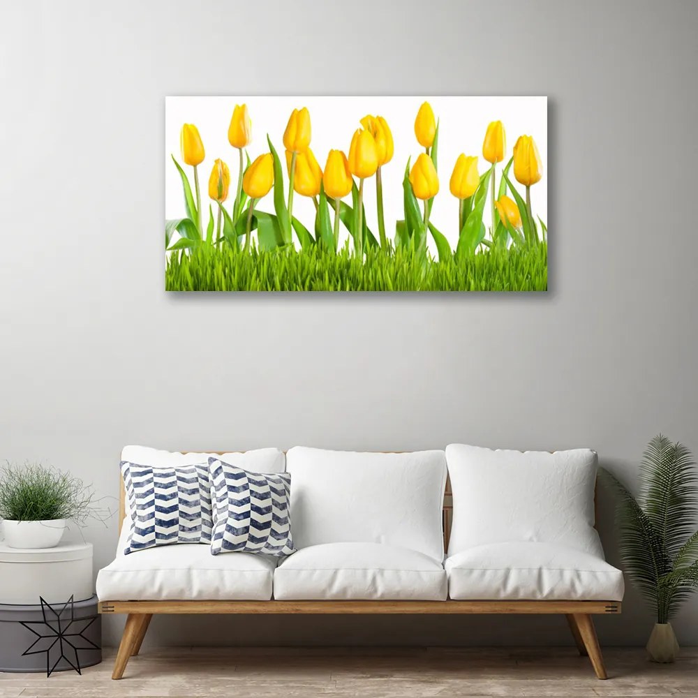 Obraz na plátně Tulipány 100x50 cm