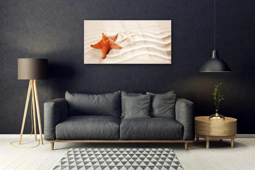 Obraz na skle Hvězdice na Písku Pláž 100x50 cm