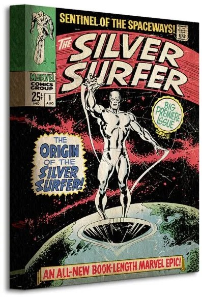 Art Group Obraz na plátně Marvel Silver Surfer (The Origin) Velikost: 30 x 40 cm