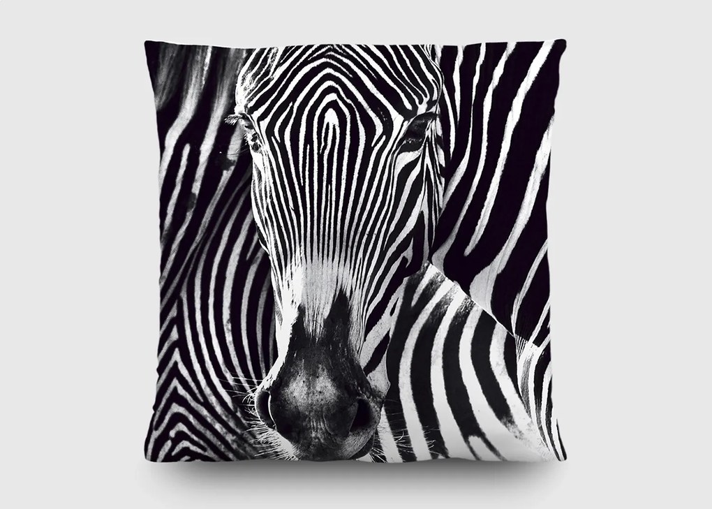 Dekorativní polštářek Zebra | 45 x 45 cm | DCN3605