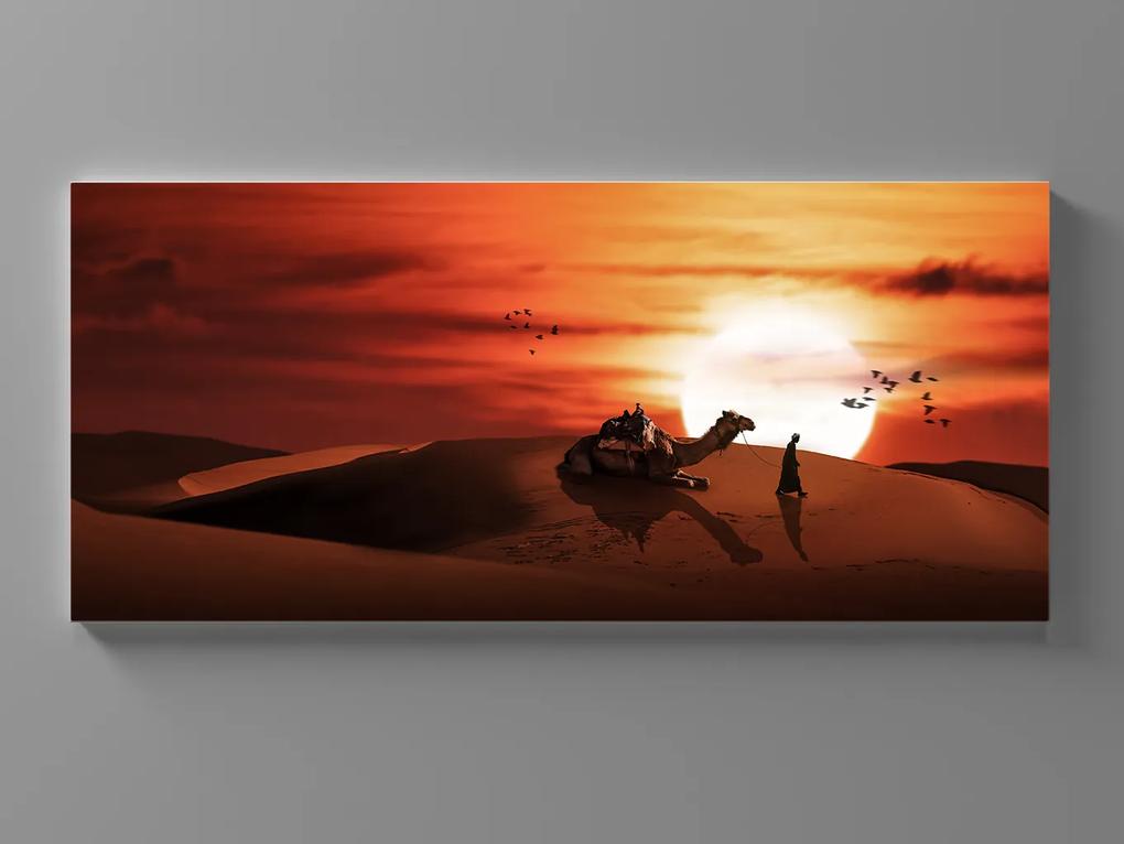 Liox XXL Obraz velbloud v poušti Rozměr: 250 x 125 cm