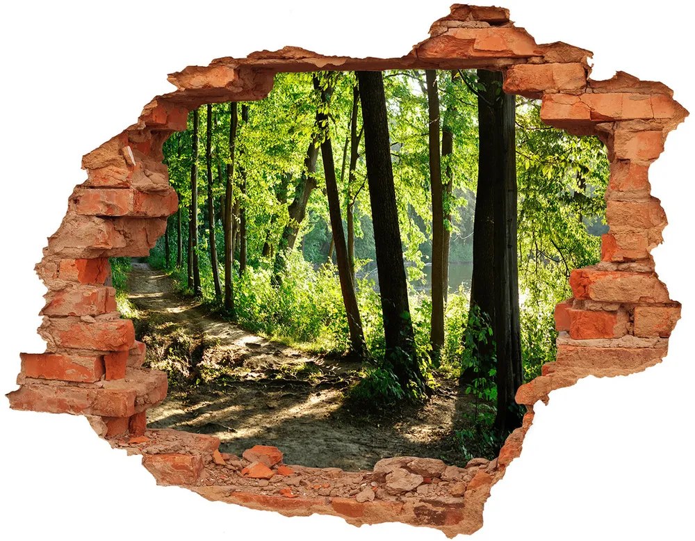 Wallmuralia Nálepka fototapeta 3D na zeď Stezka na louce 90x70 cm