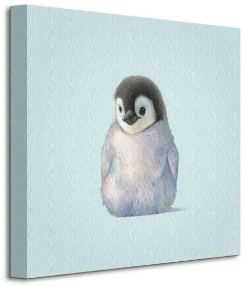 Obraz na plátně Malý tučňák Butler John 40x40cm WDC95283