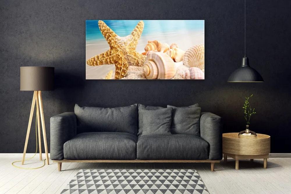 akrylový obraz Hvězdice Mušle Umění 120x60 cm