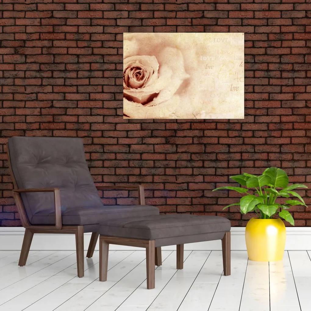 Skleněný obraz - Květ růže pro zamilované (70x50 cm)