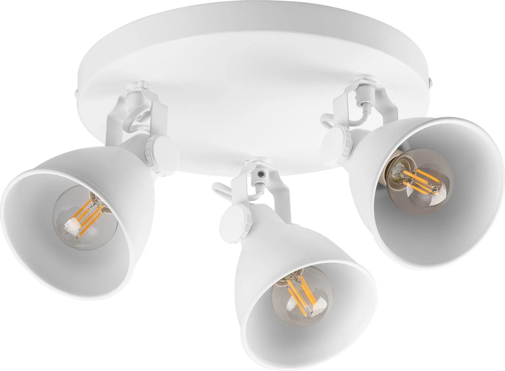 Livarno Home Stropní LED svítidlo Teiwaz (stropní bodové svítidlo, bílá)