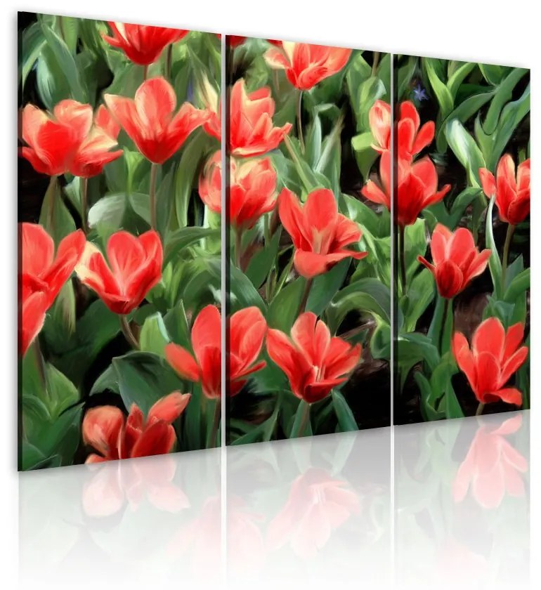 Obraz na plátně Bimago - Červené tulipány v rozkvětu 60x40 cm