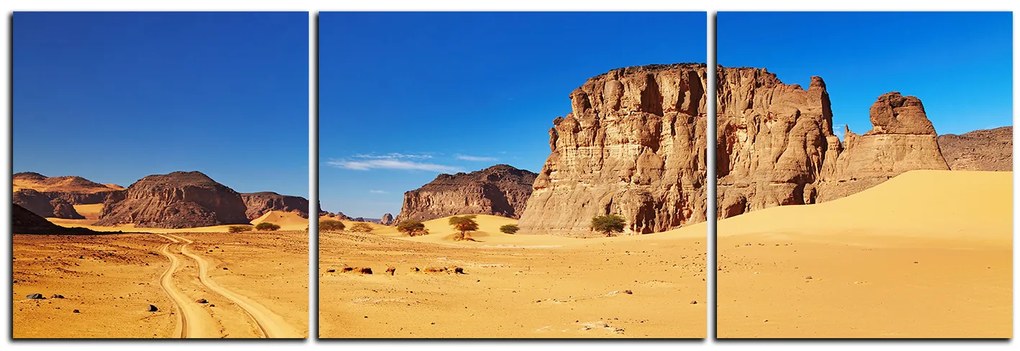 Obraz na plátně - Silnice v poušti - panoráma 5129C (120x40 cm)