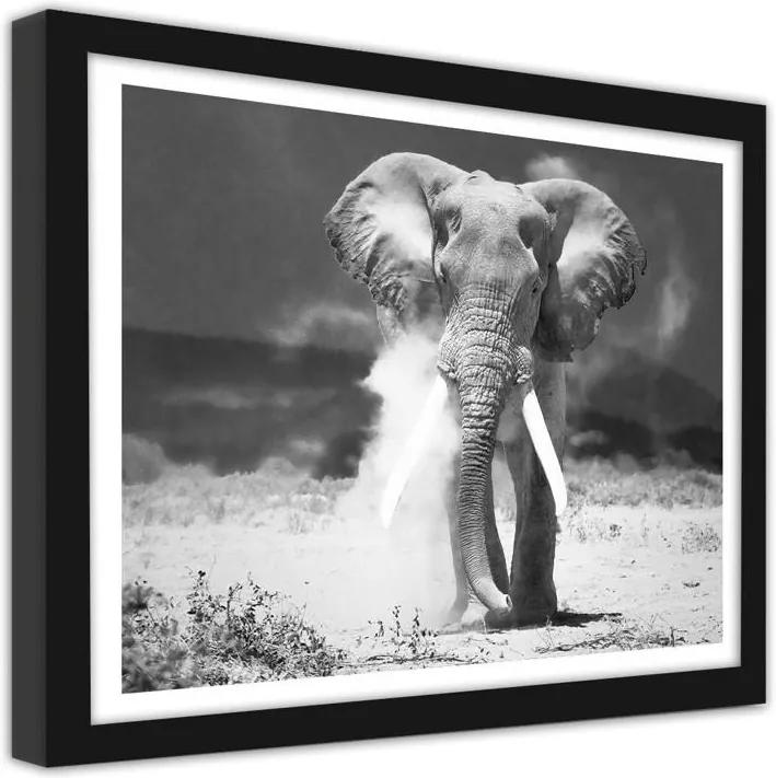 CARO Obraz v rámu - Elephant 90x60 cm Černá