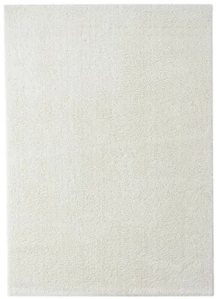 Koberce Breno Kusový koberec DOLCE VITA 01/WWW, Bílá, 200 x 290 cm