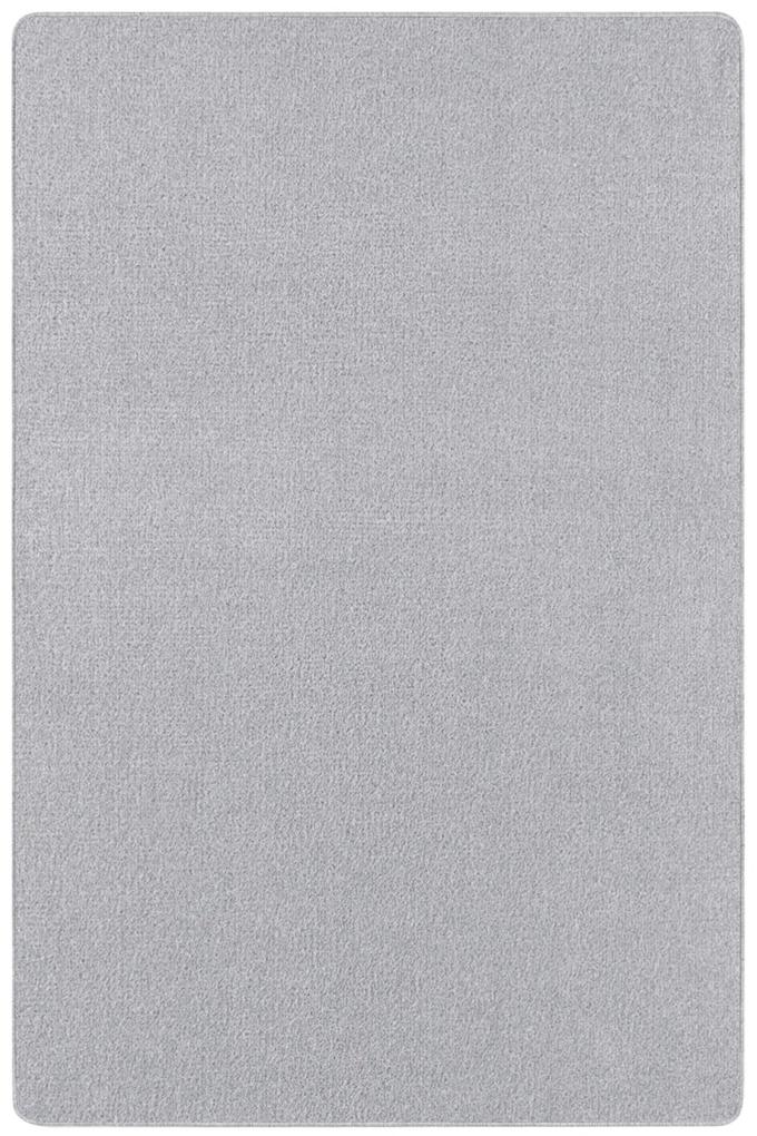 Hanse Home Collection koberce Kusový koberec Nasty 101595 Silber - 200x300 cm