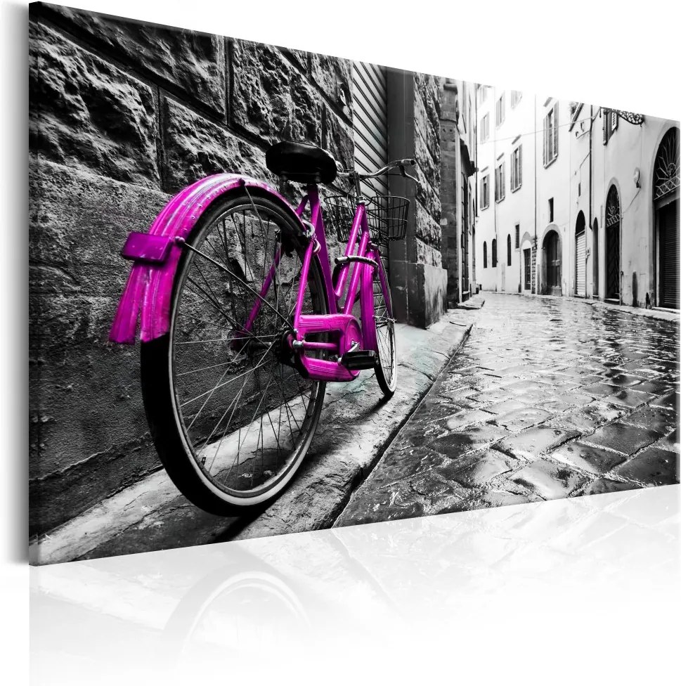 Obraz na plátně Bimago - Vintage Pink Bike 120x80 cm