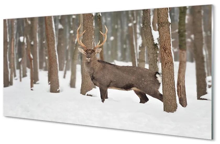 Obraz na skle Jelen zimní les 125x50 cm