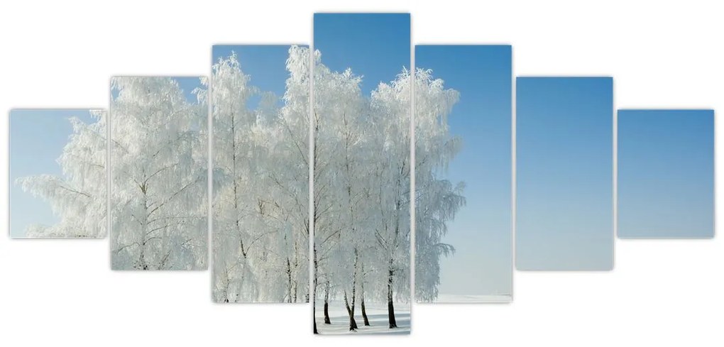 Obraz  zasněžené krajiny (210x100 cm)