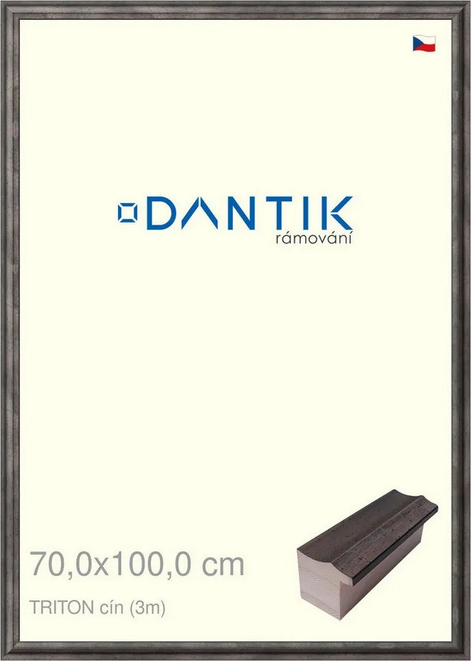 DANTIK rámeček 70x100 | TRITON cín (Plexi Čiré)