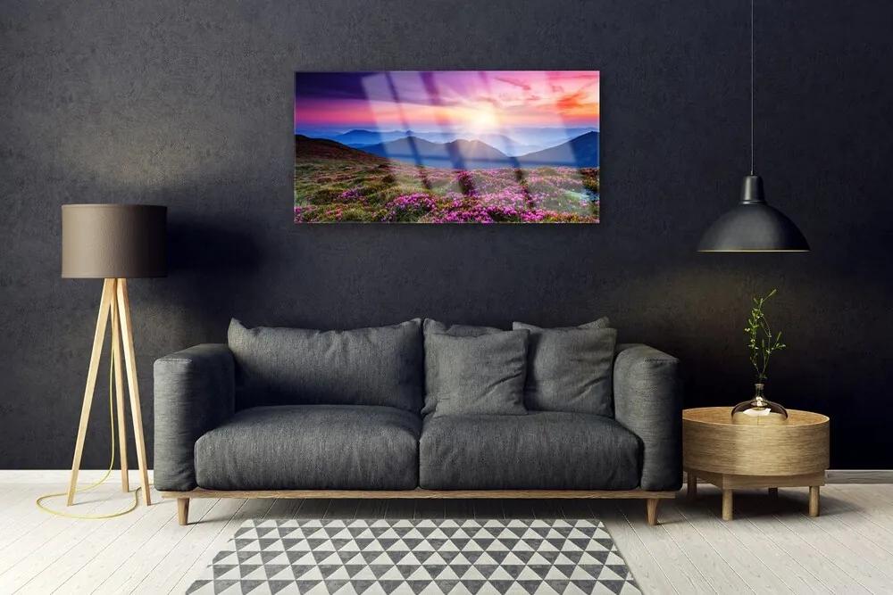 Obraz na skle Hora Louka Květiny Krajina 140x70 cm
