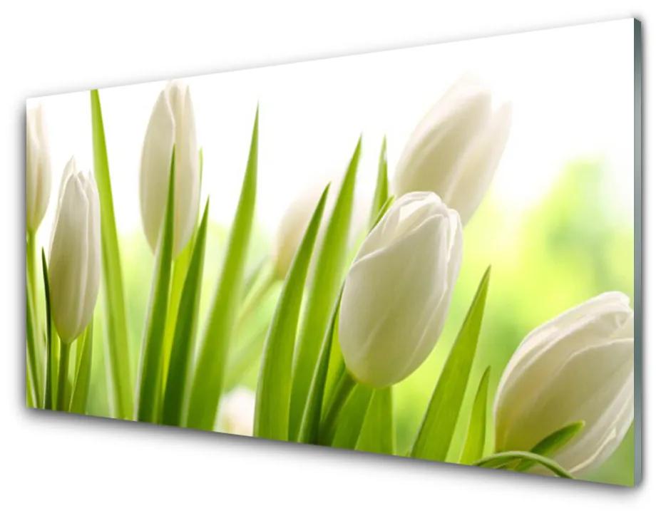 akrylový obraz Tulipány Květiny 100x50 cm