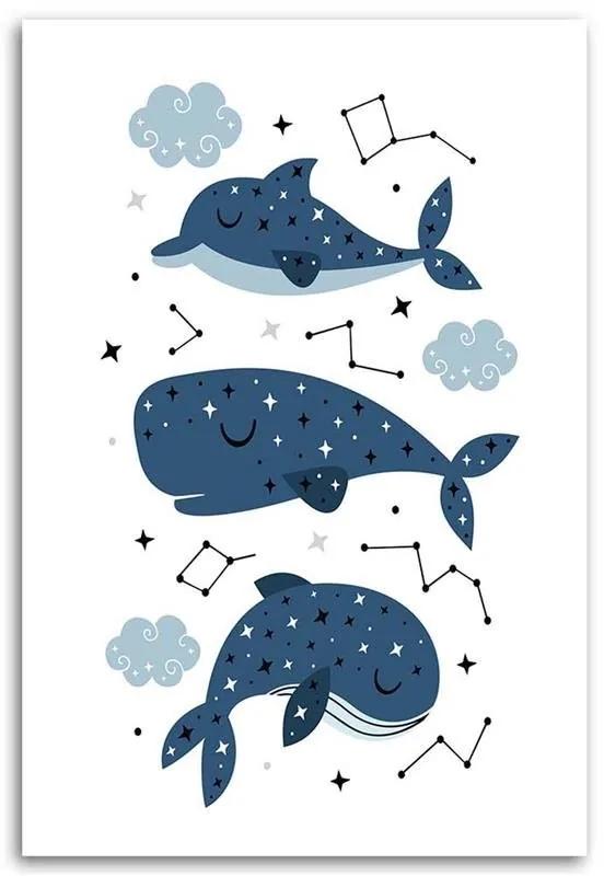 Gario Obraz na plátně Veselé velryby Rozměry: 40 x 60 cm