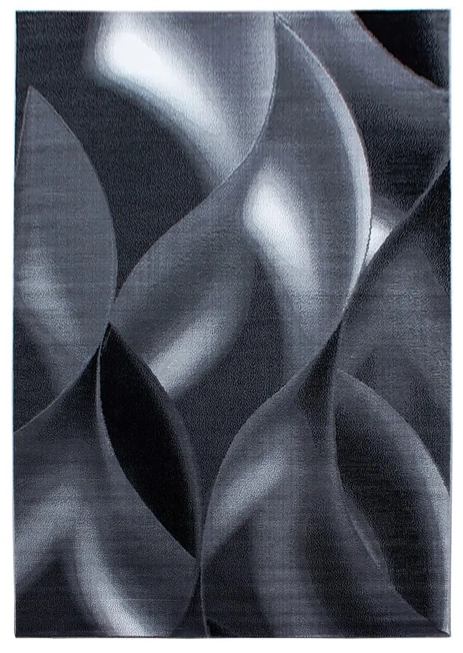 Tmavě šedý koberec 200x290 cm Plus – Ayyildiz Carpets