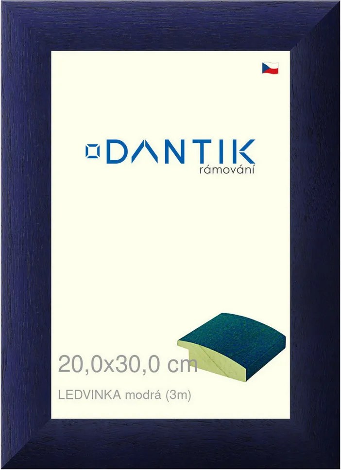 DANTIK rámeček 20x30 | LEDVINKA modrá (Sklo Čiré)