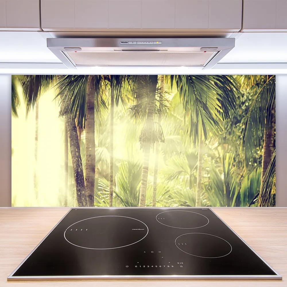 Skleněné obklady do kuchyně Les Palmy Stromy Příroda 120x60 cm
