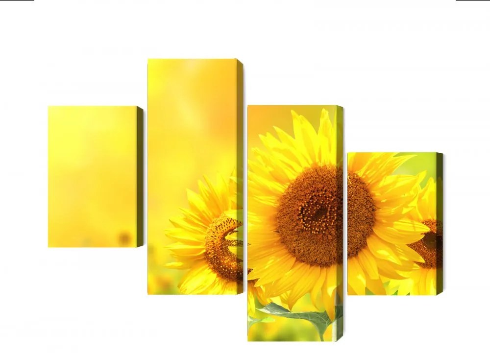 Vícedílný obraz Kvetoucí Slunečnice 3D Nedostatek Nedostatek Plátno Canvas 240x150