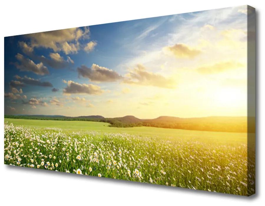 Obraz na plátně Louka Květiny Krajina 140x70 cm