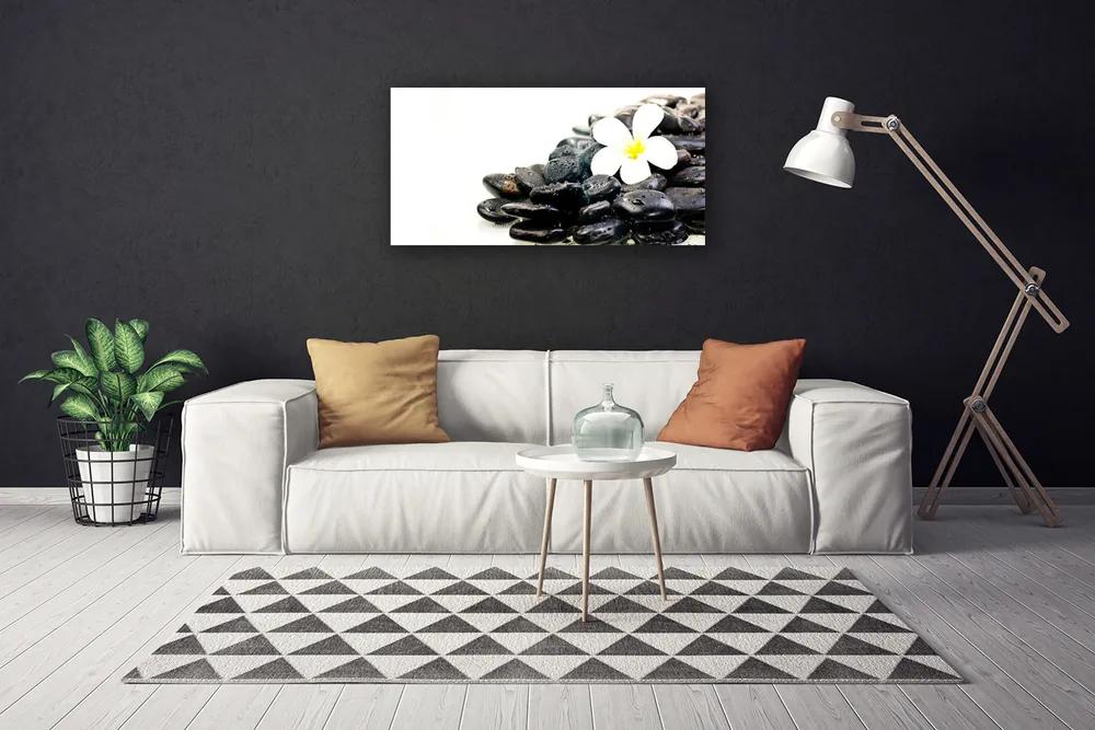 Obraz na plátně Květiny Kameny Umění 140x70 cm