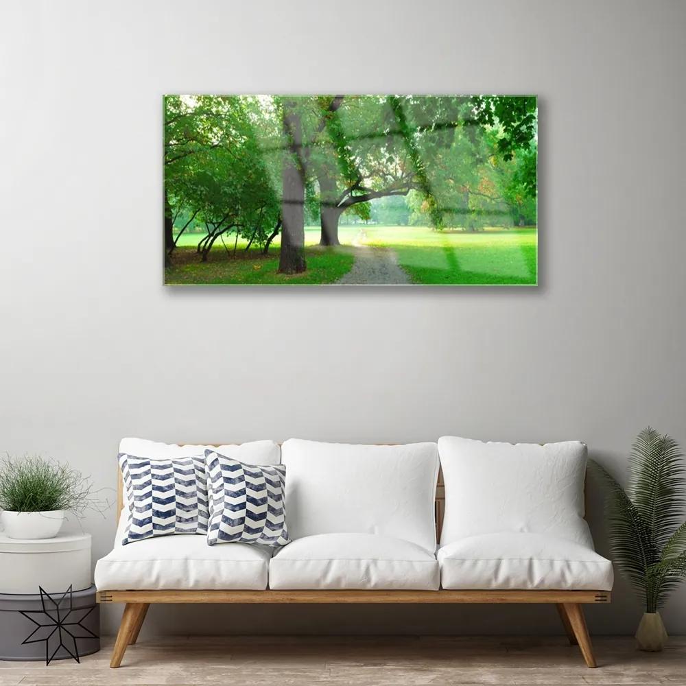 akrylový obraz Stezka Stromy Příroda 100x50 cm