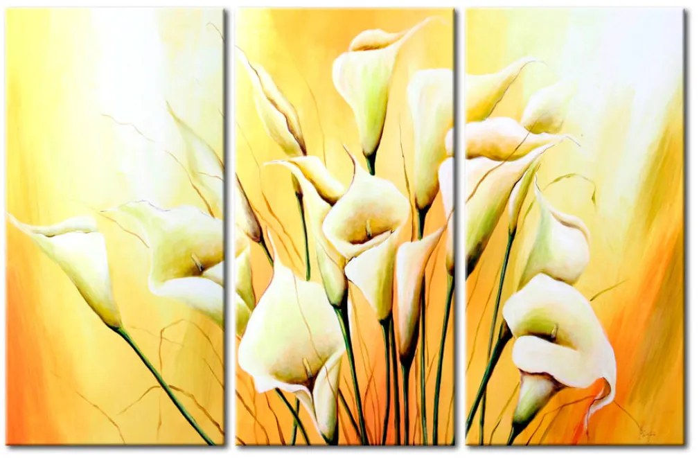 Obraz Klasická krása (3 díly) - kytice světlých kalií na žlutavém pozadí