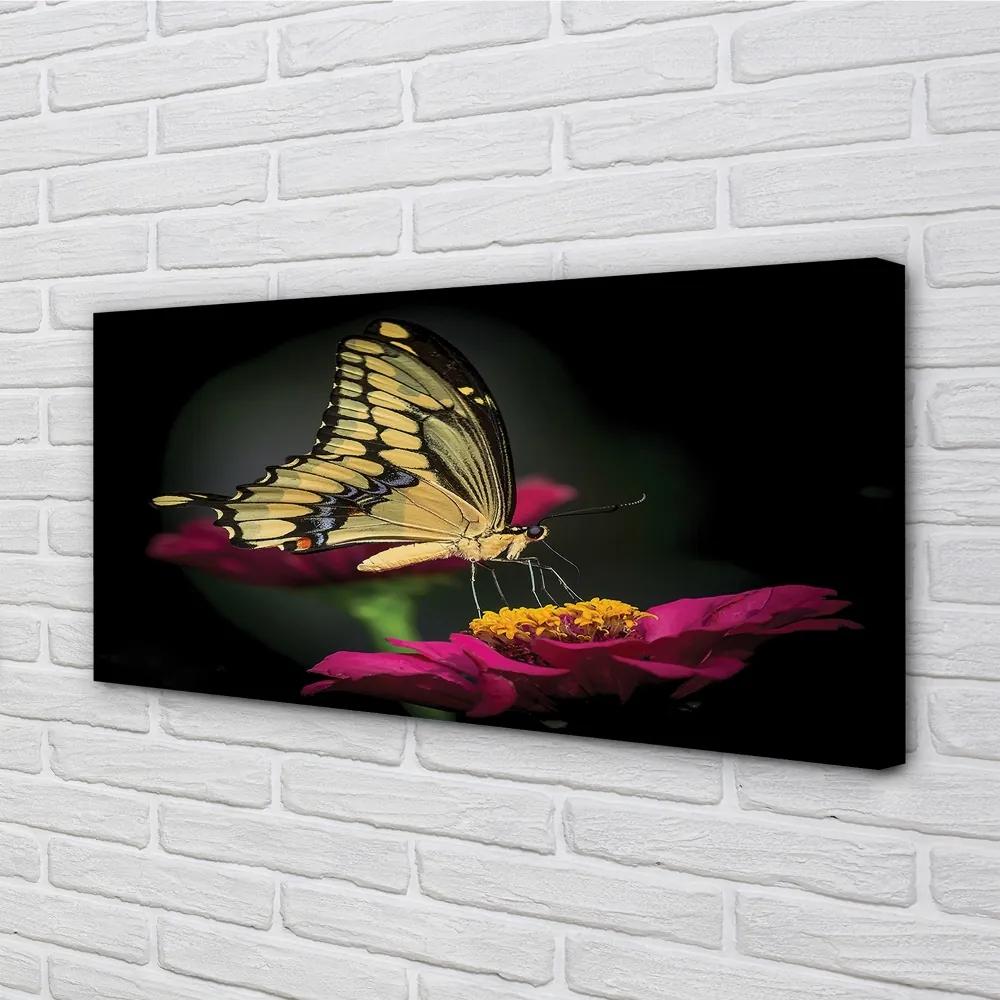 Obrazy na plátně Motýl na květině 100x50 cm